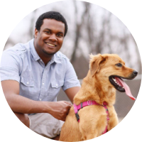 RealAuthority | Legiit