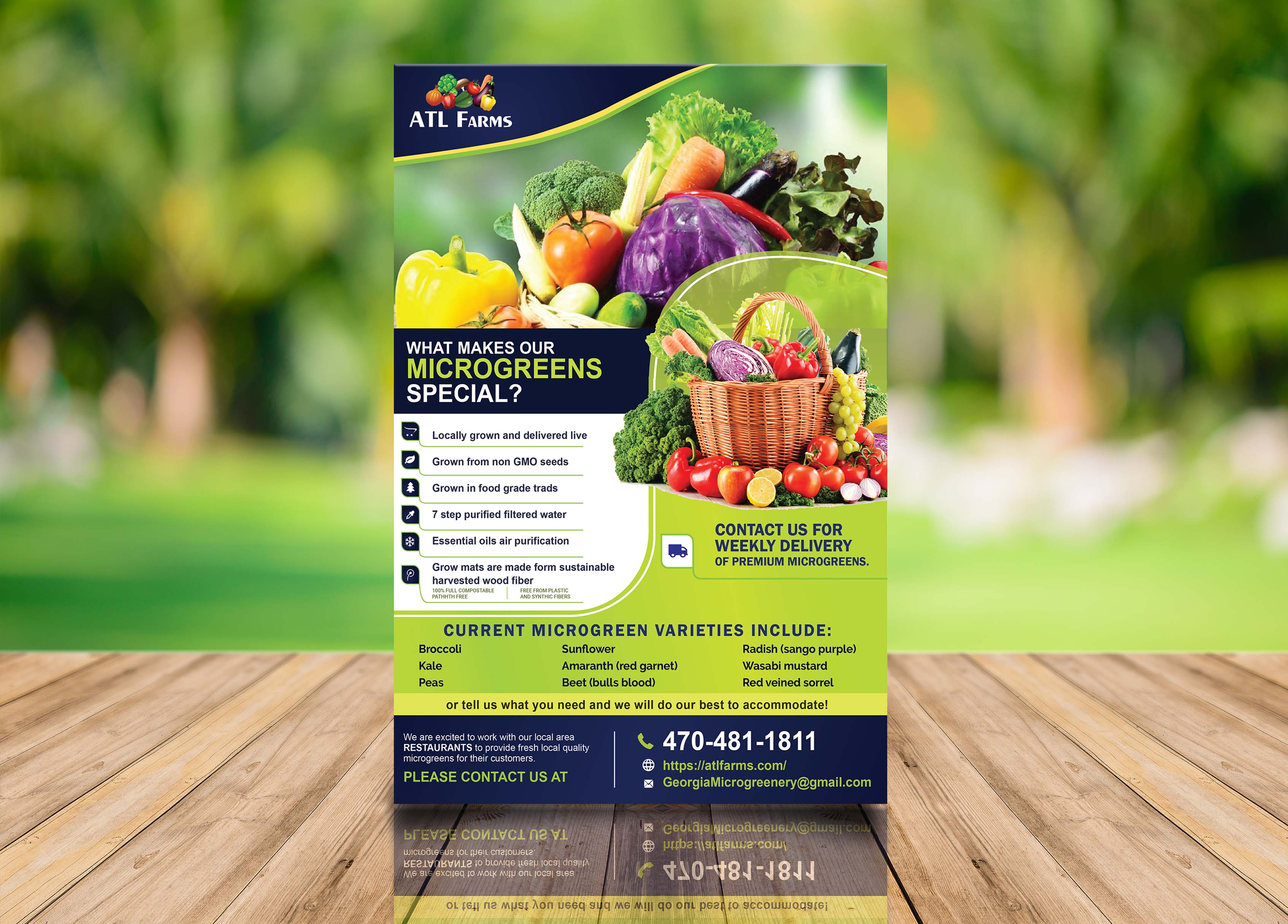 Pro-Graphic-Designer | Legiit